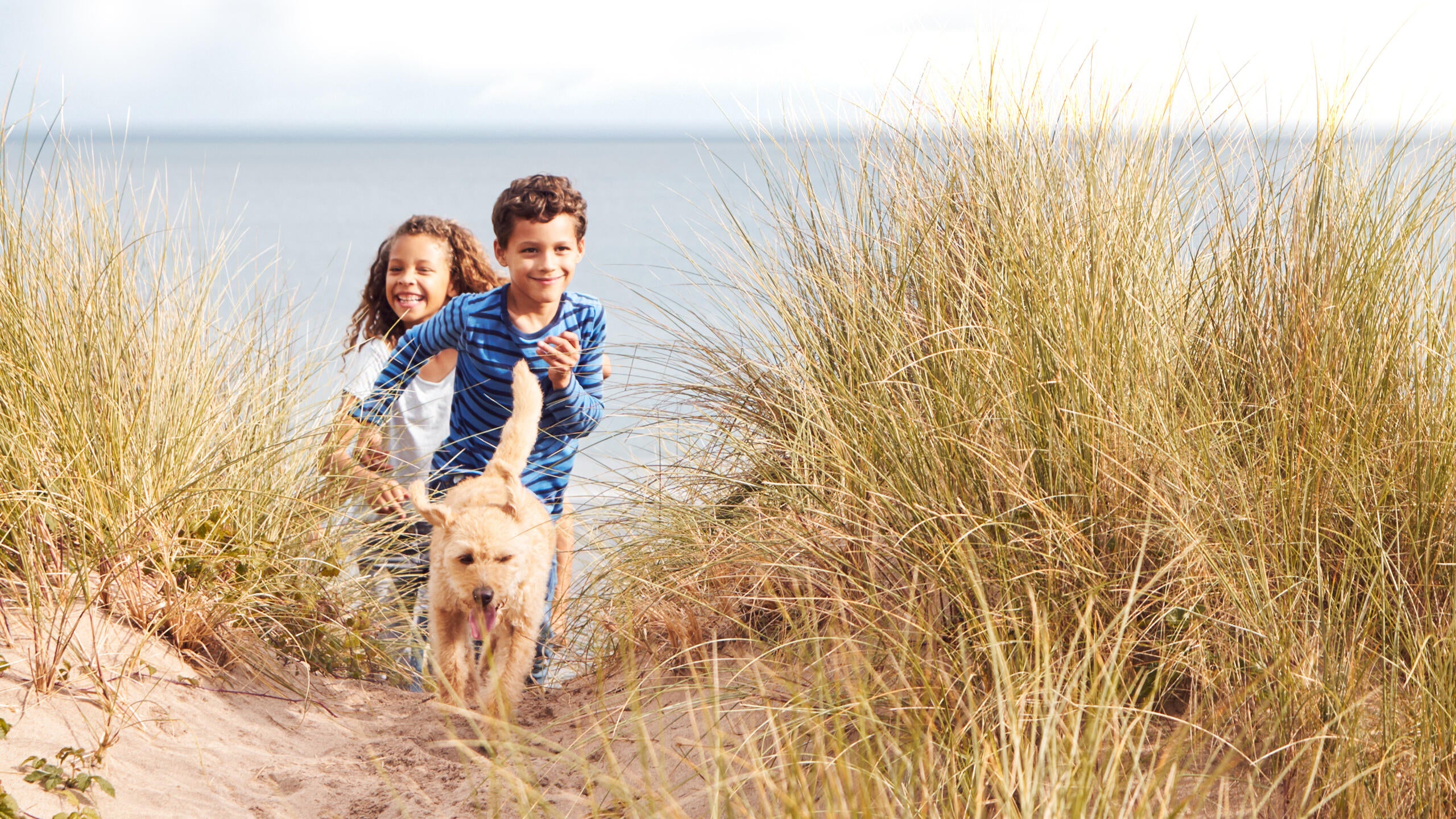 Pawk Pet Treats – Pawk Pet Co. Pty Ltd